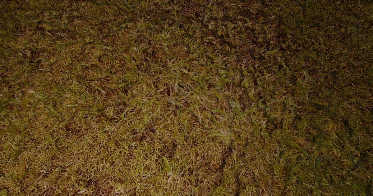 ArtStation - Patch Of Grass | Game Assets