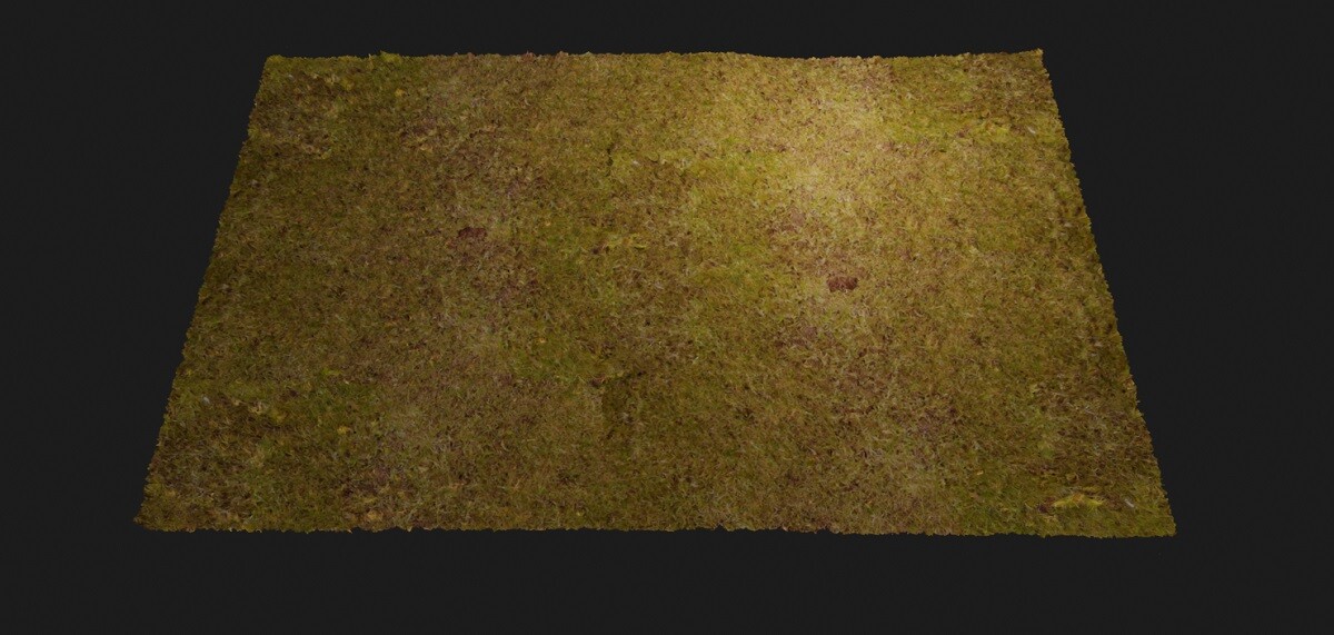 ArtStation - Patch Of Grass | Game Assets