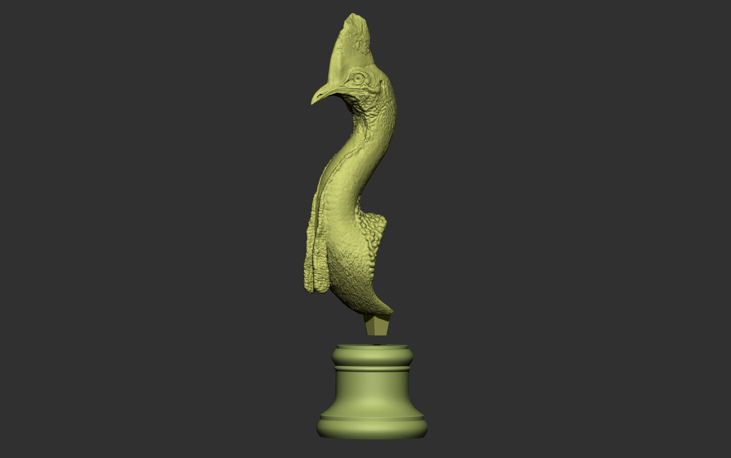 ArtStation - Cassowary | Resources