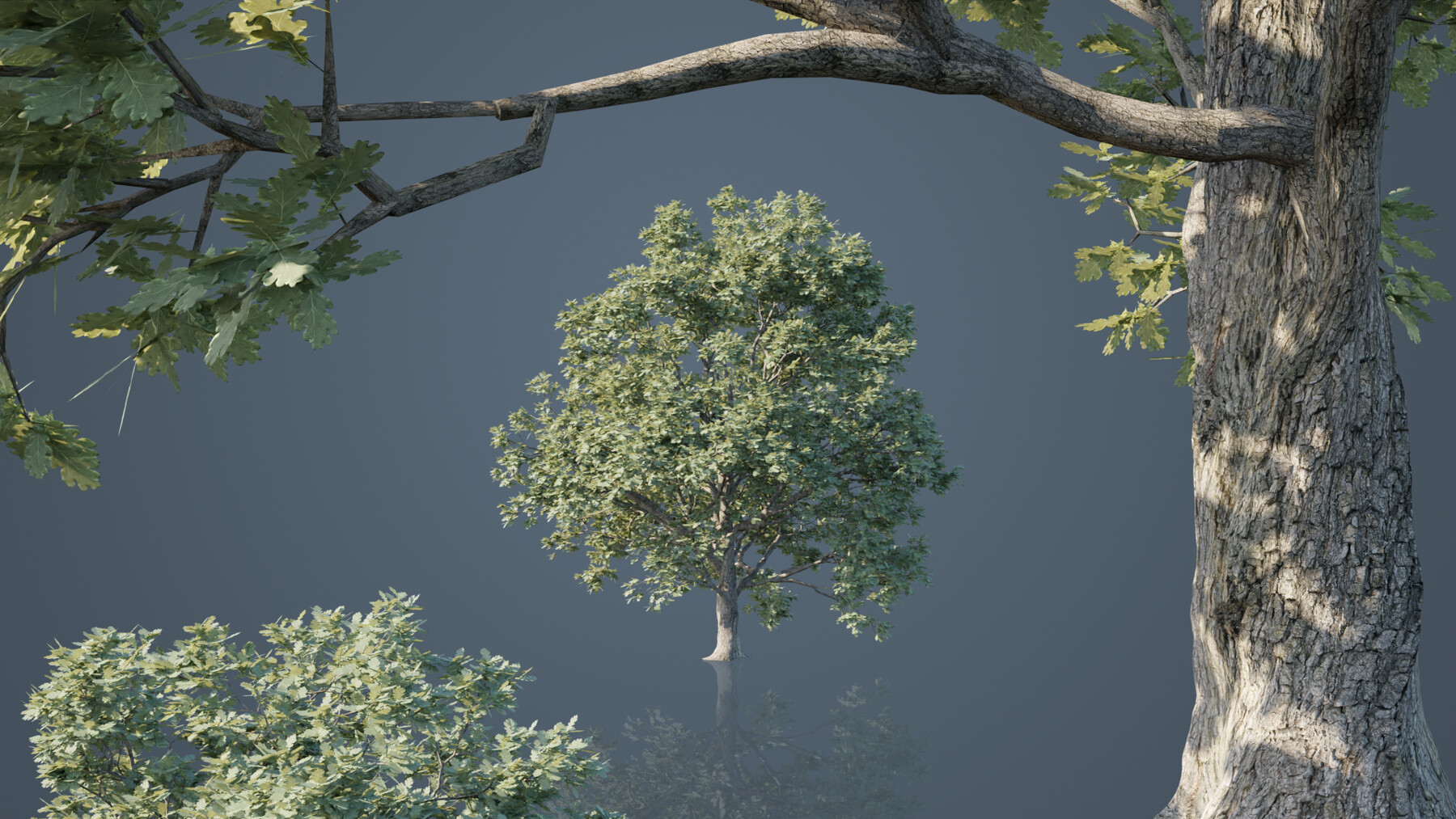 ArtStation - White Oak Trees | Game Assets