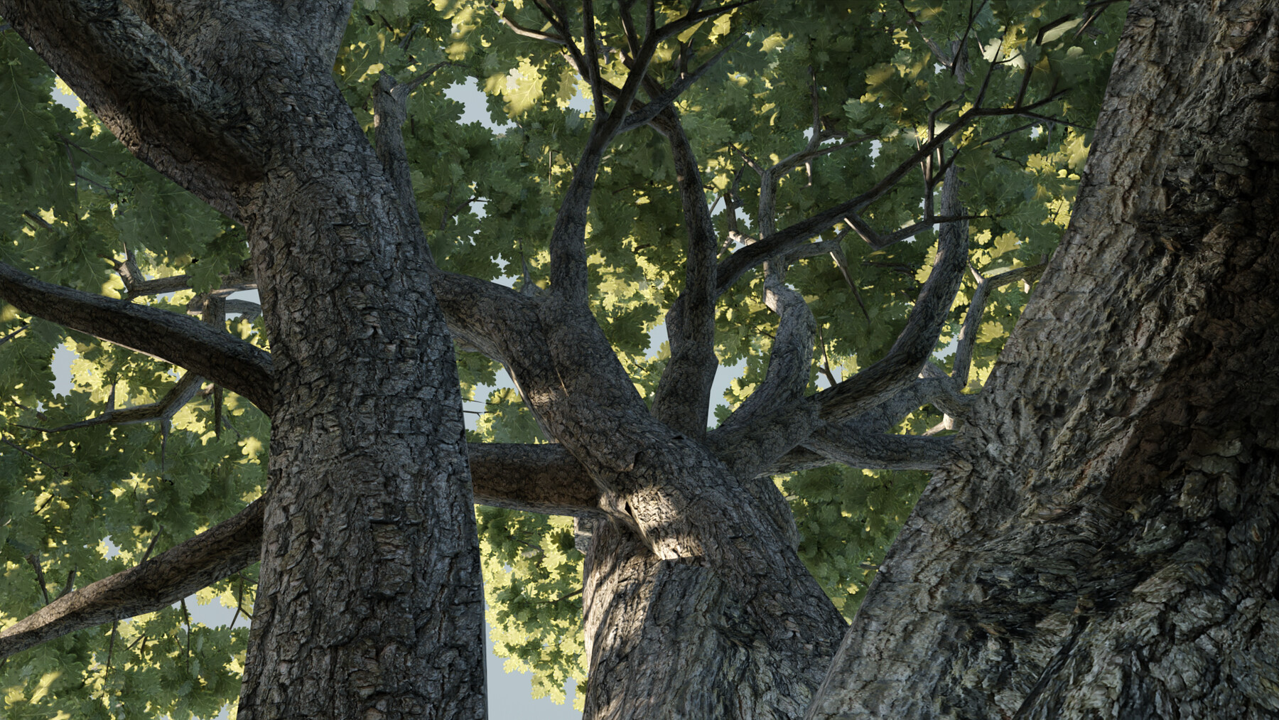 ArtStation - White Oak Trees | Game Assets