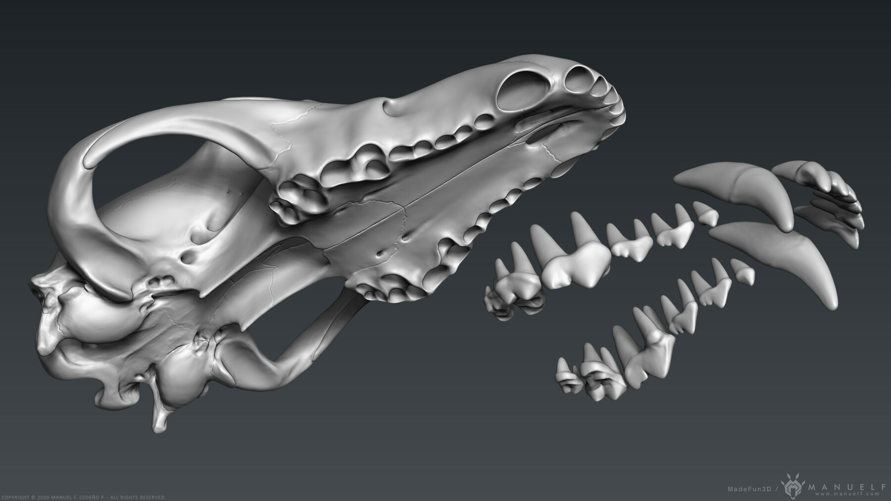 ArtStation - 3D Wolf Skull – Highpoly Sculpture | Resources
