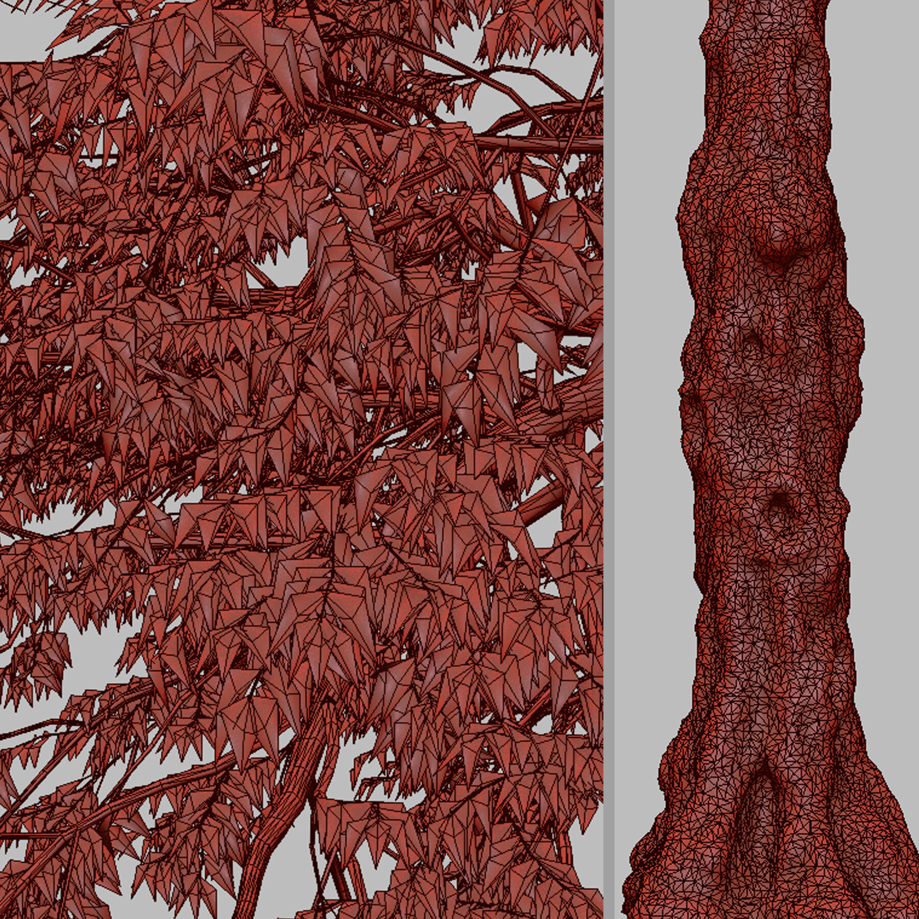 ArtStation - Set of Black ash Tree ( Fraxinus nigra ) (2 Trees) | Resources