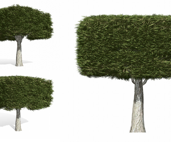 ArtStation - 3D Assets: topiary tree 5s | Resources