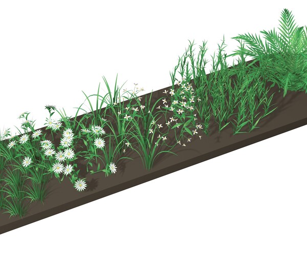 ArtStation - Herbage Various Set 6 piece | Resources