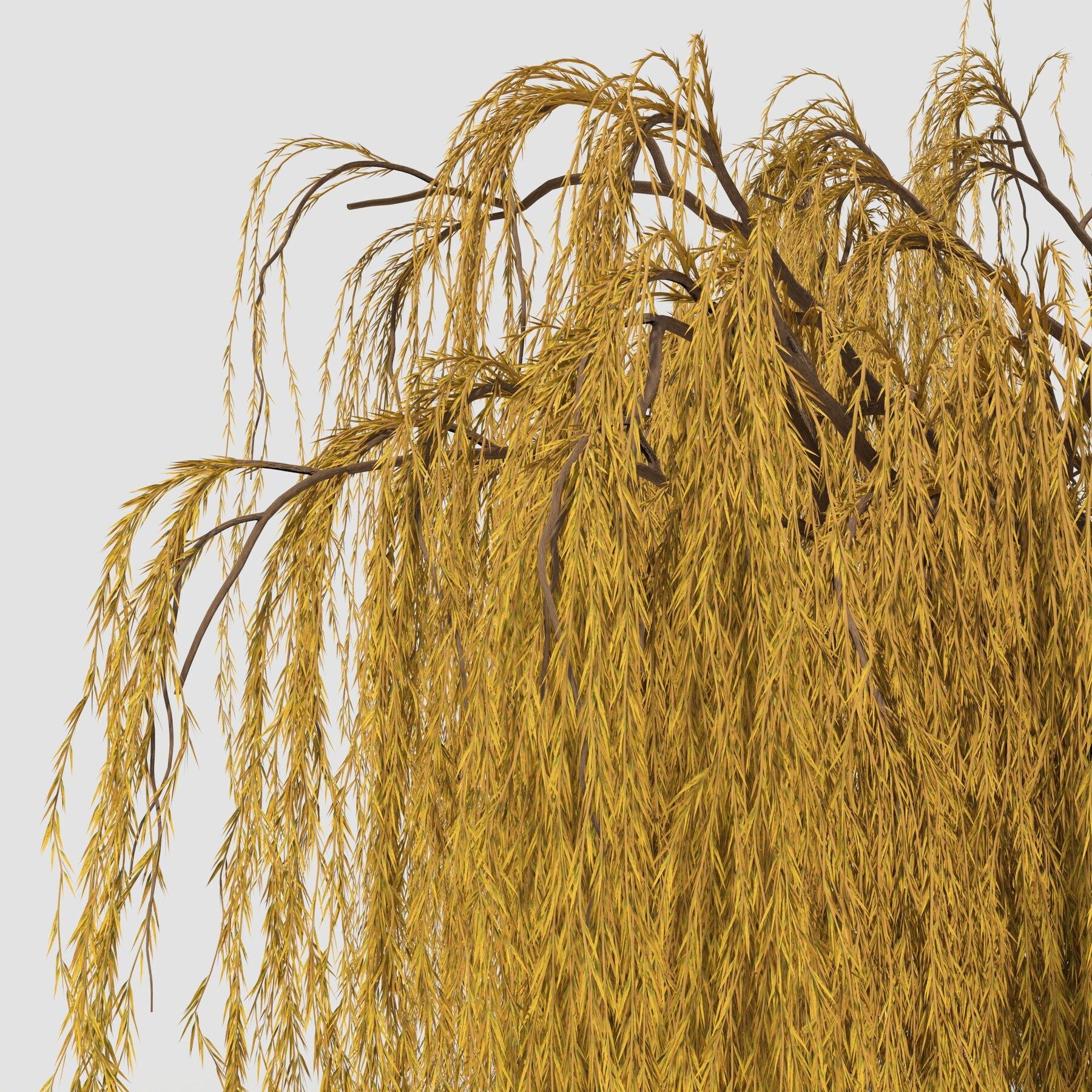 ArtStation - weeping willow tree | Game Assets