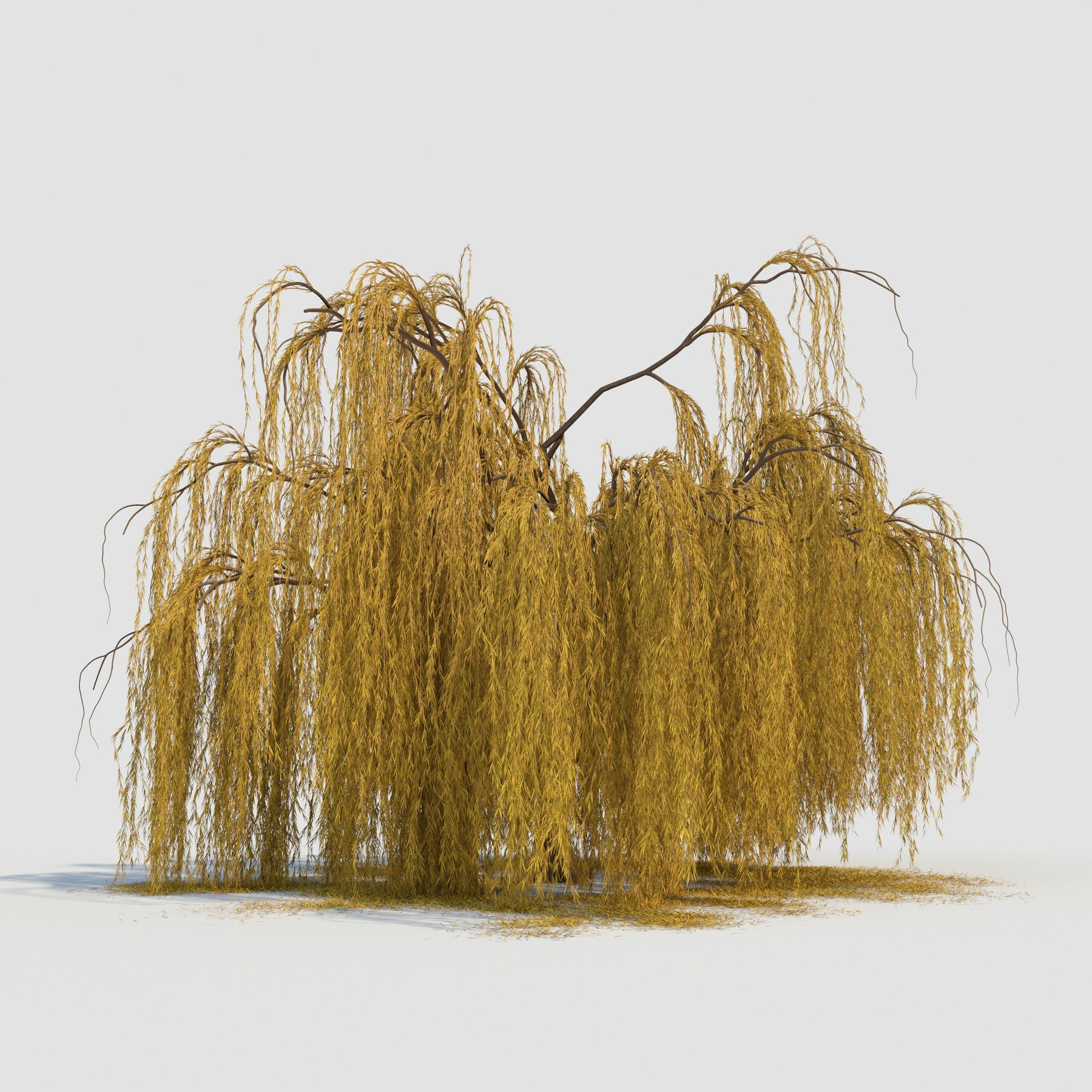 ArtStation - weeping willow tree | Game Assets
