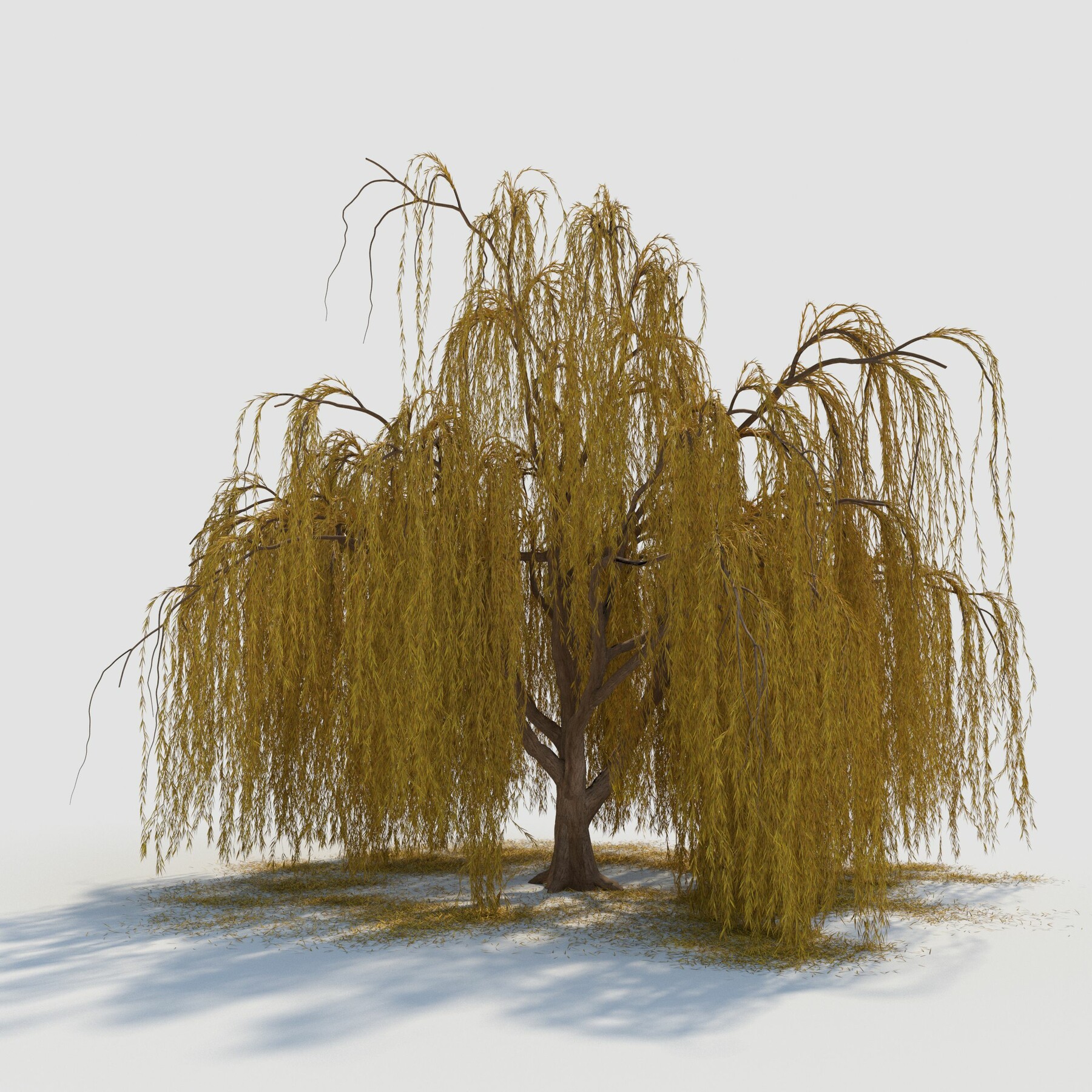 ArtStation - weeping willow tree | Game Assets