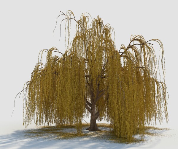 ArtStation - weeping willow tree | Game Assets