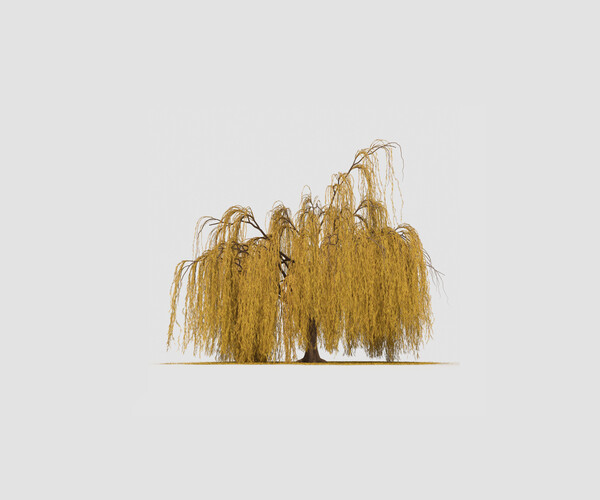 ArtStation - weeping willow tree | Game Assets