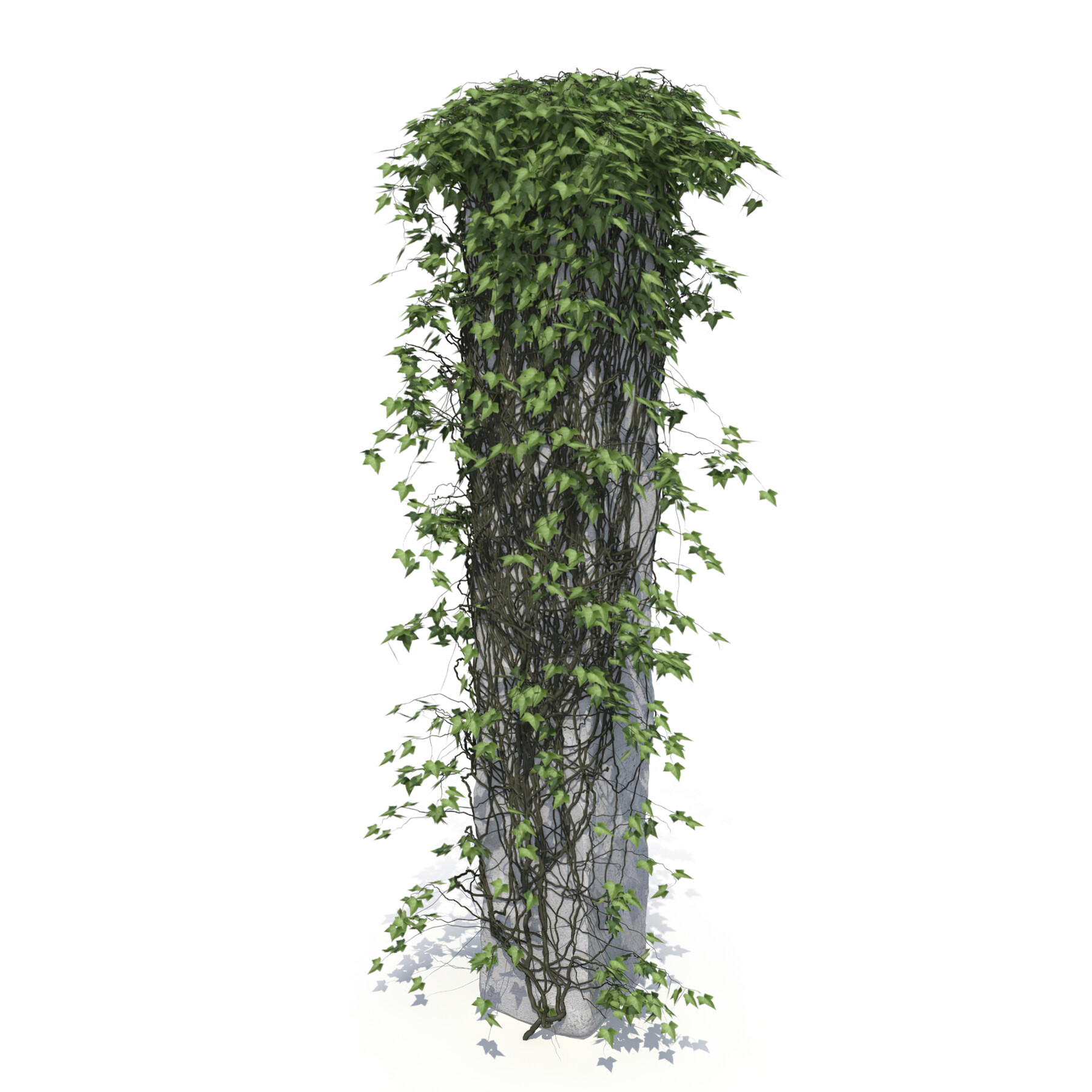 ArtStation - Ivy on a column V1 | Resources