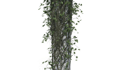 ArtStation - Ivy on a column V3 | Resources