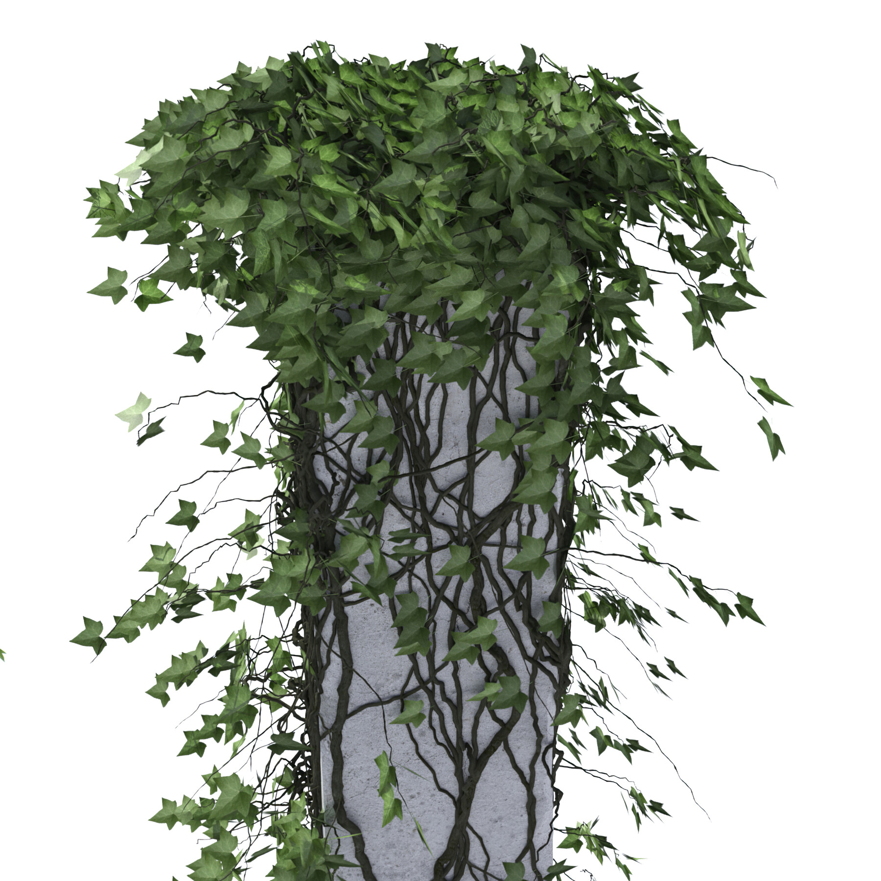 ArtStation - Ivy on a column V3 | Resources