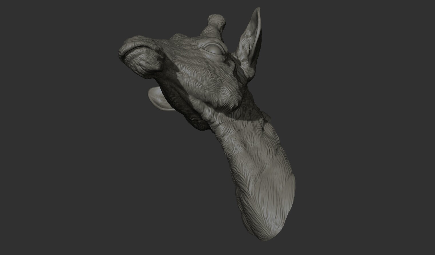 ArtStation - Giraffe head | Resources