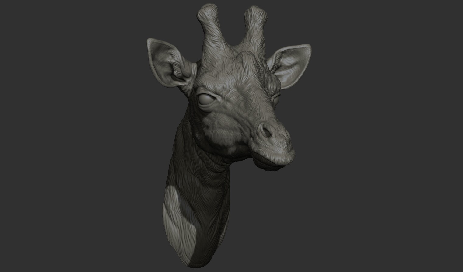 ArtStation - Giraffe head | Resources