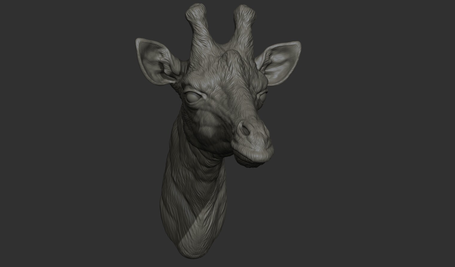 ArtStation - Giraffe head | Resources