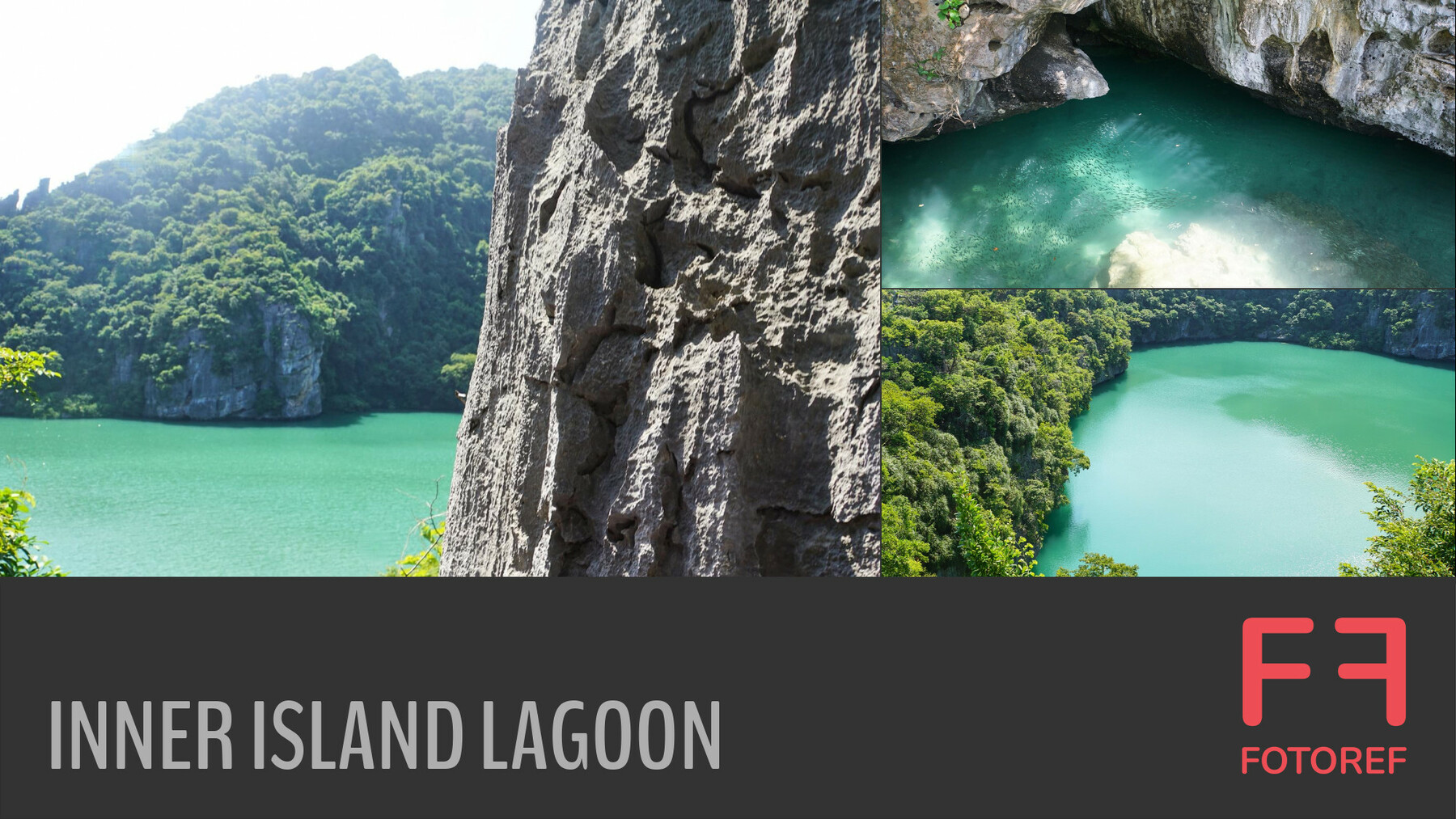 ArtStation - 164 photos of Inner Island Lagoon | Resources