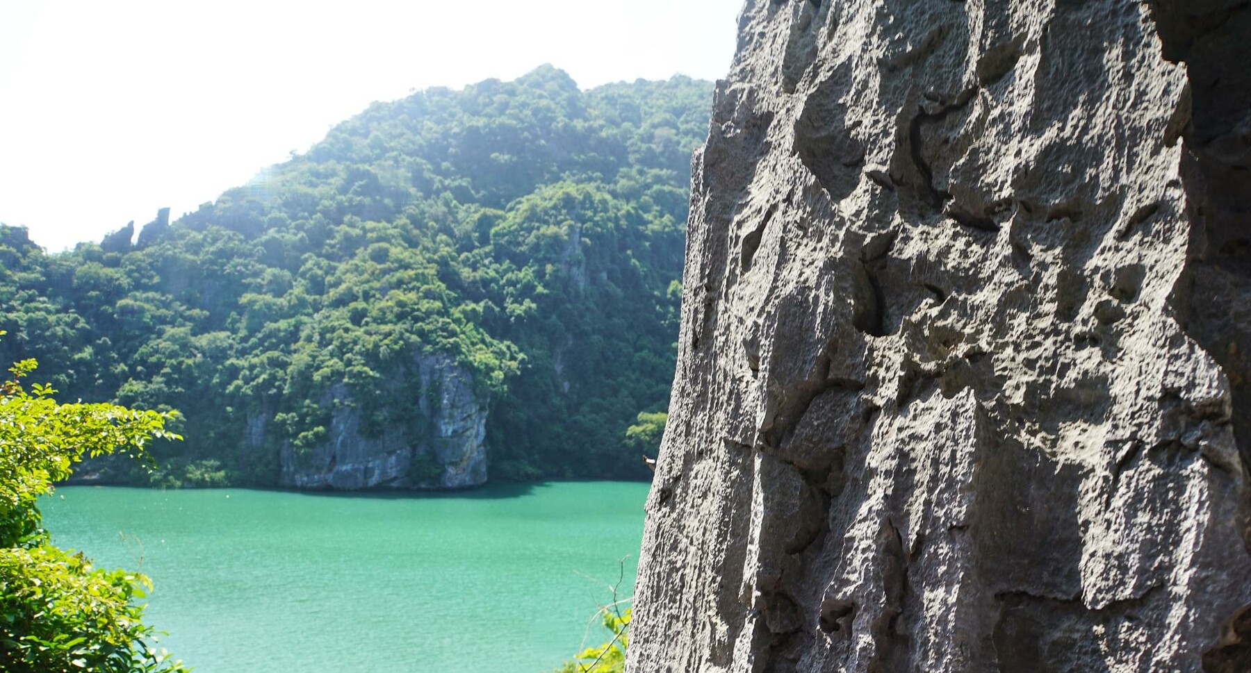 ArtStation - 164 photos of Inner Island Lagoon | Resources