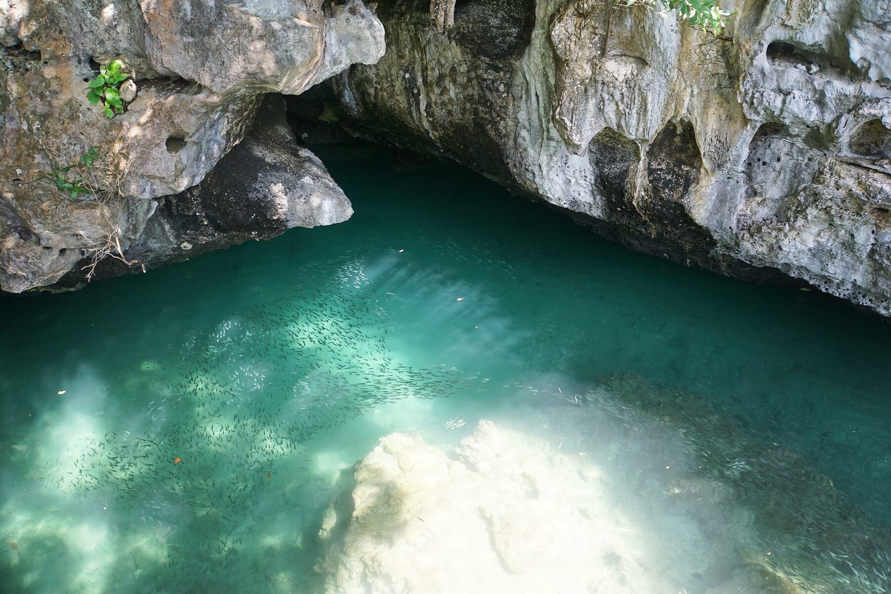 ArtStation - 164 photos of Inner Island Lagoon | Resources