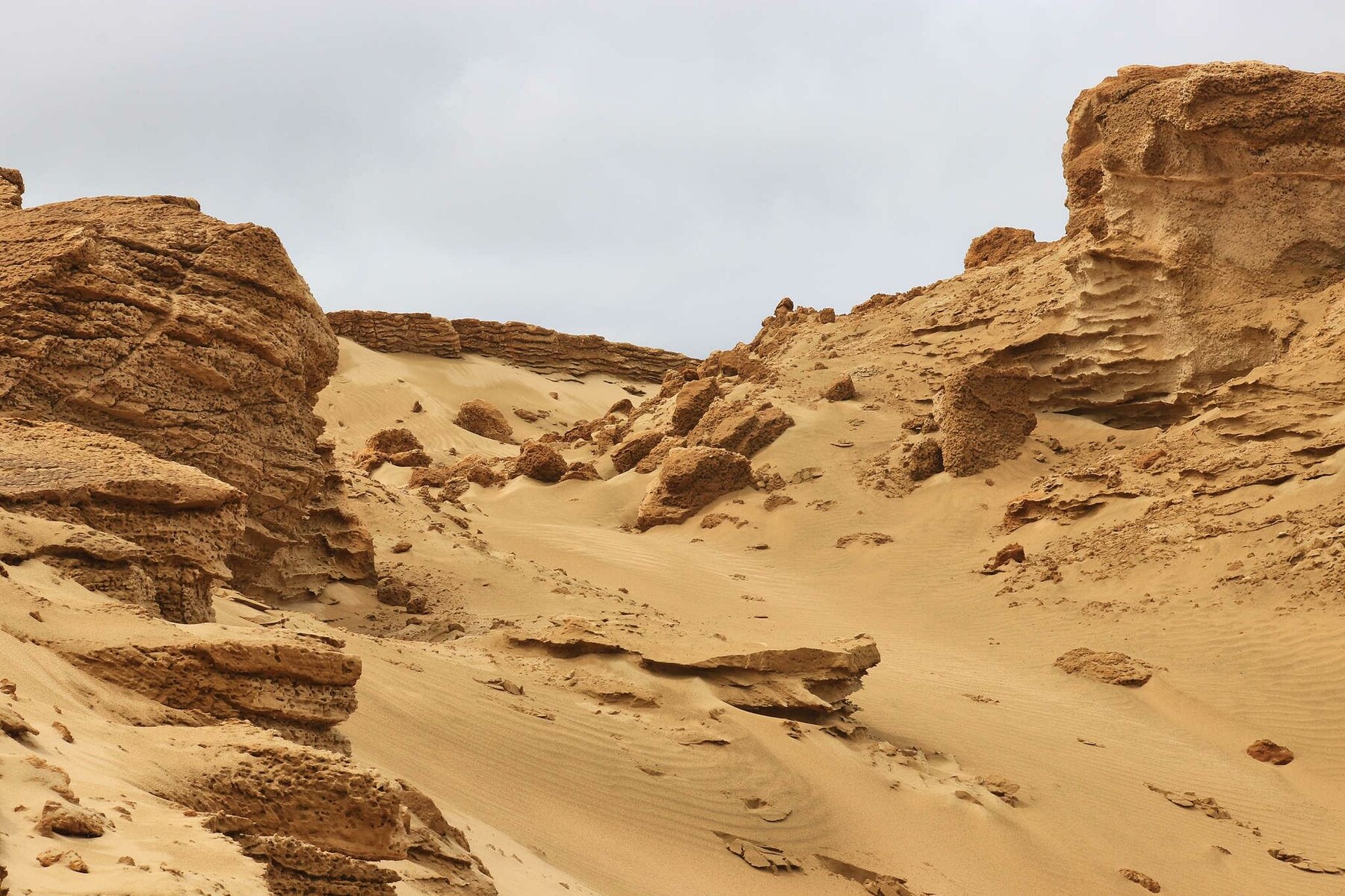 ArtStation - 378 photos of Giant Sand Dunes | Resources