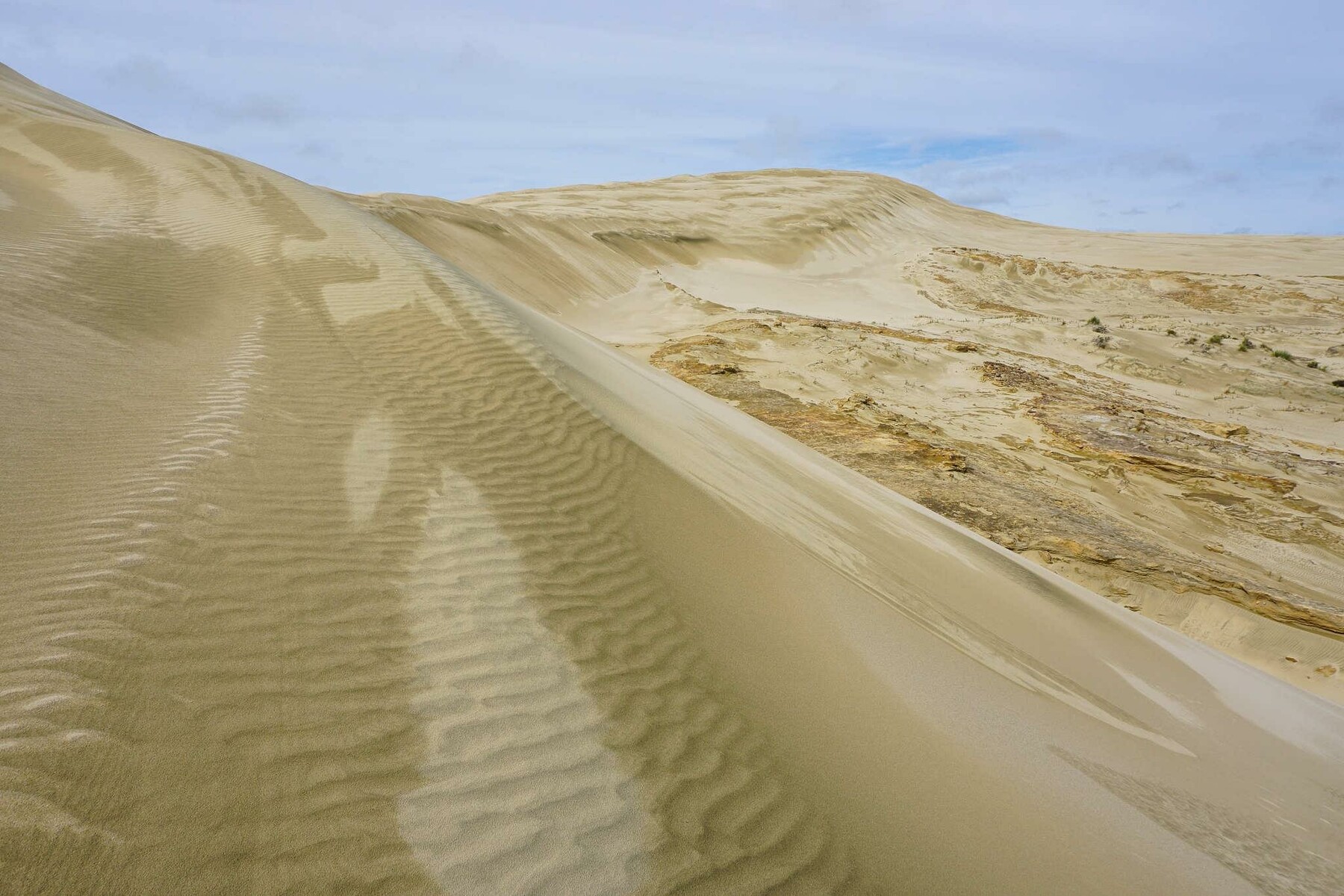 ArtStation - 378 photos of Giant Sand Dunes | Resources