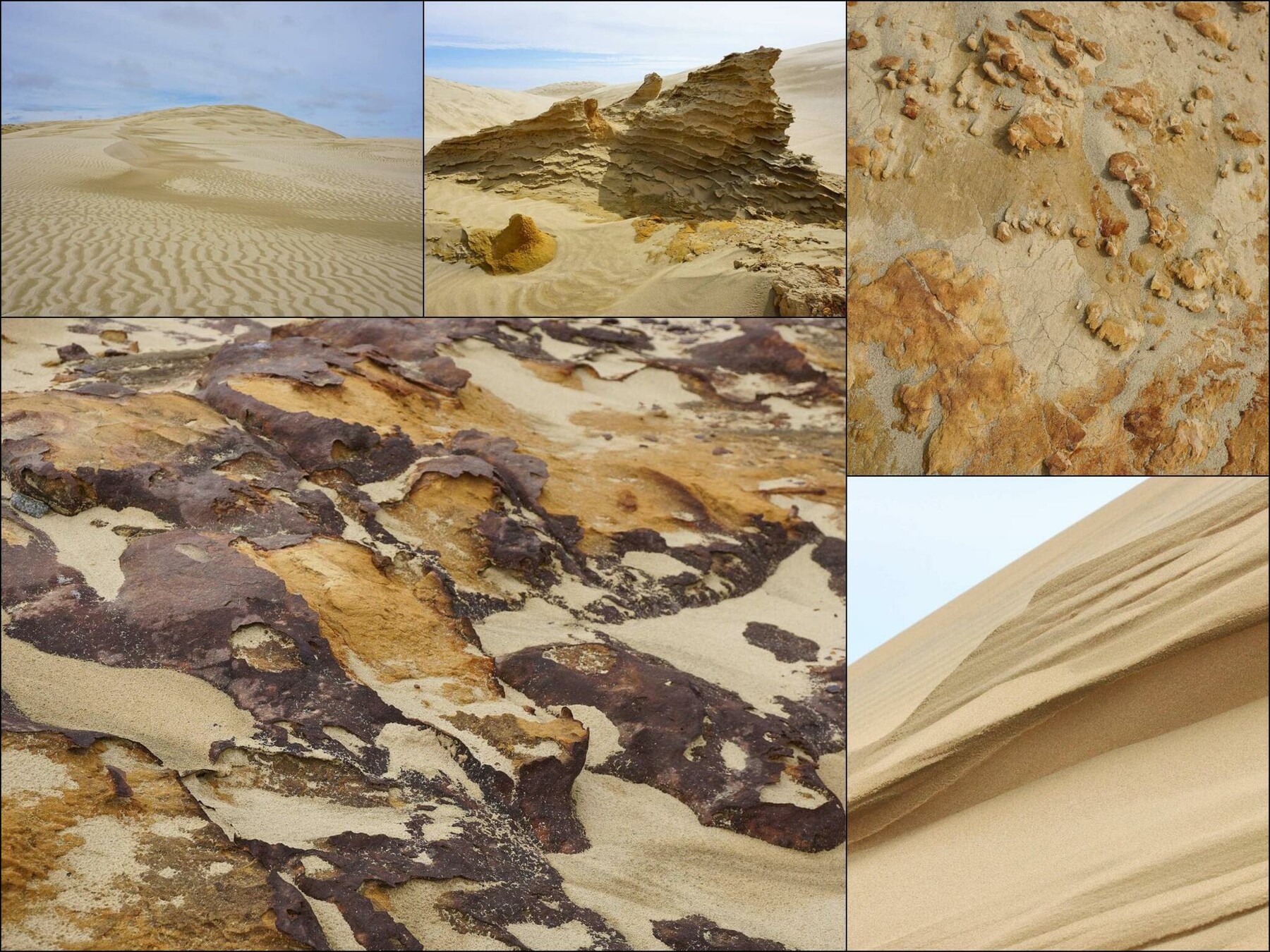 ArtStation - 378 photos of Giant Sand Dunes | Resources