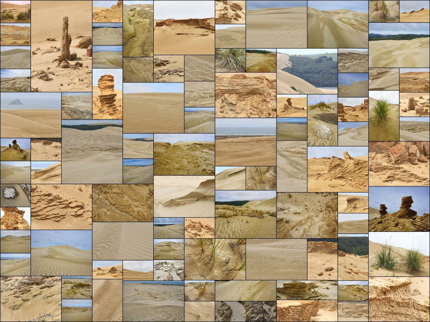 ArtStation - 378 photos of Giant Sand Dunes | Resources