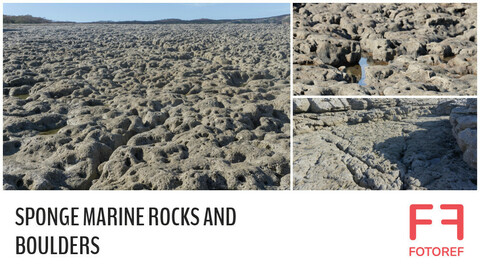 ArtStation - 70 photos of Sponge Marine Rocks and Boulders | Resources