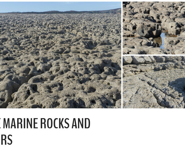 ArtStation - 70 photos of Sponge Marine Rocks and Boulders | Resources