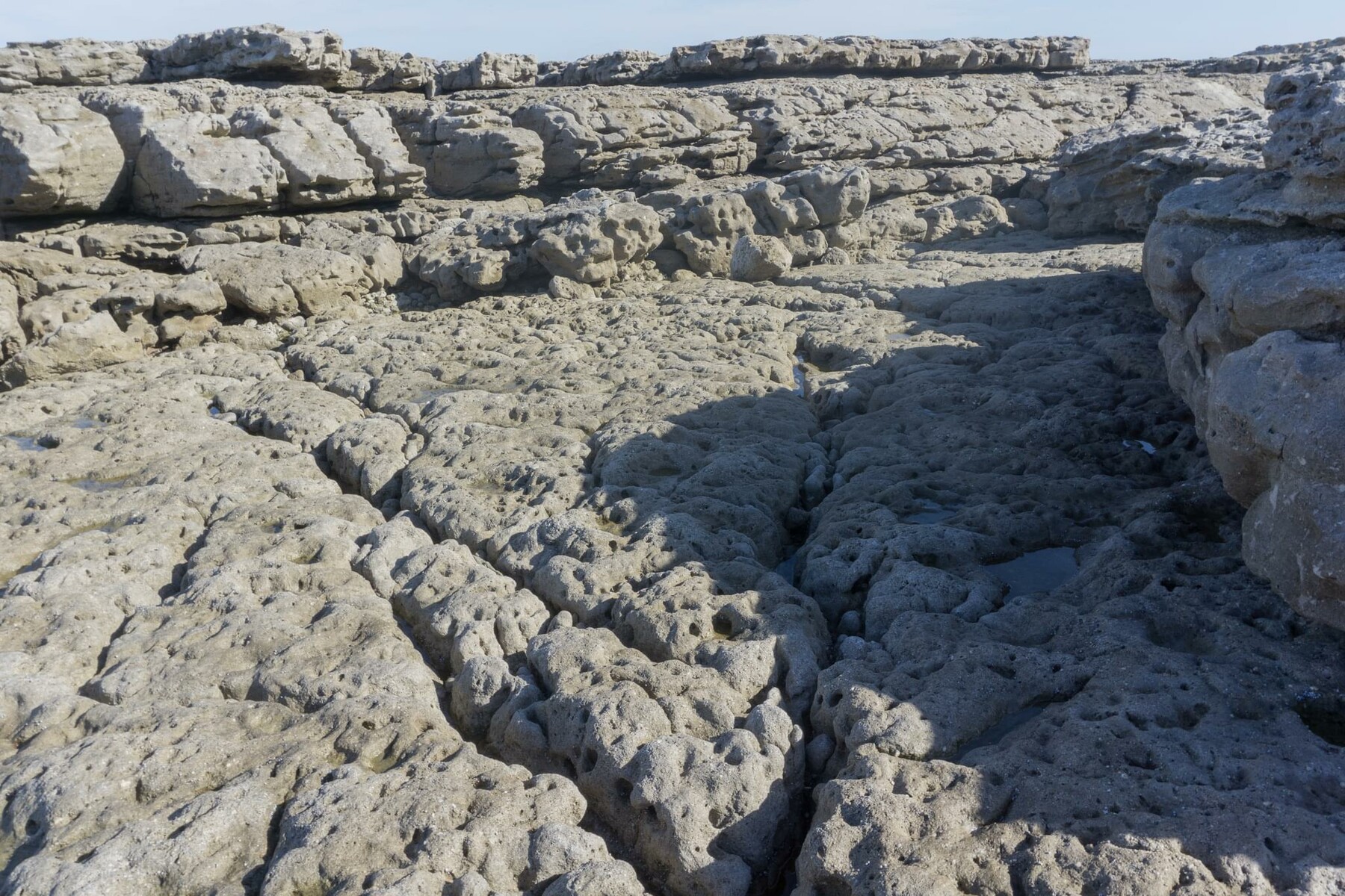 ArtStation - 70 photos of Sponge Marine Rocks and Boulders | Resources