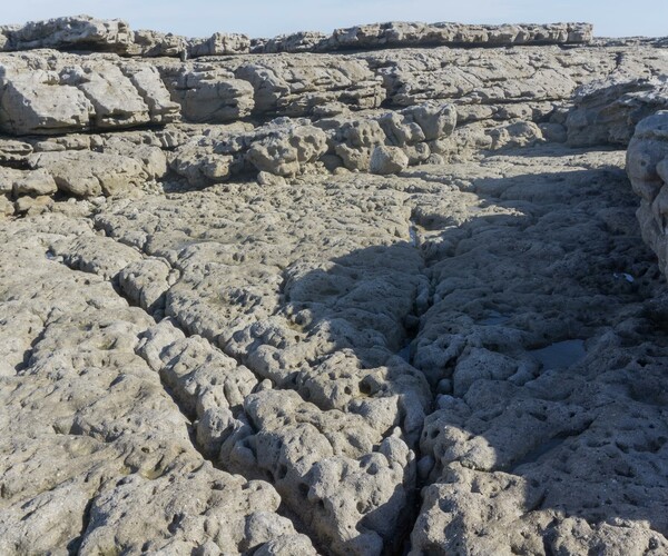 ArtStation - 70 photos of Sponge Marine Rocks and Boulders | Resources