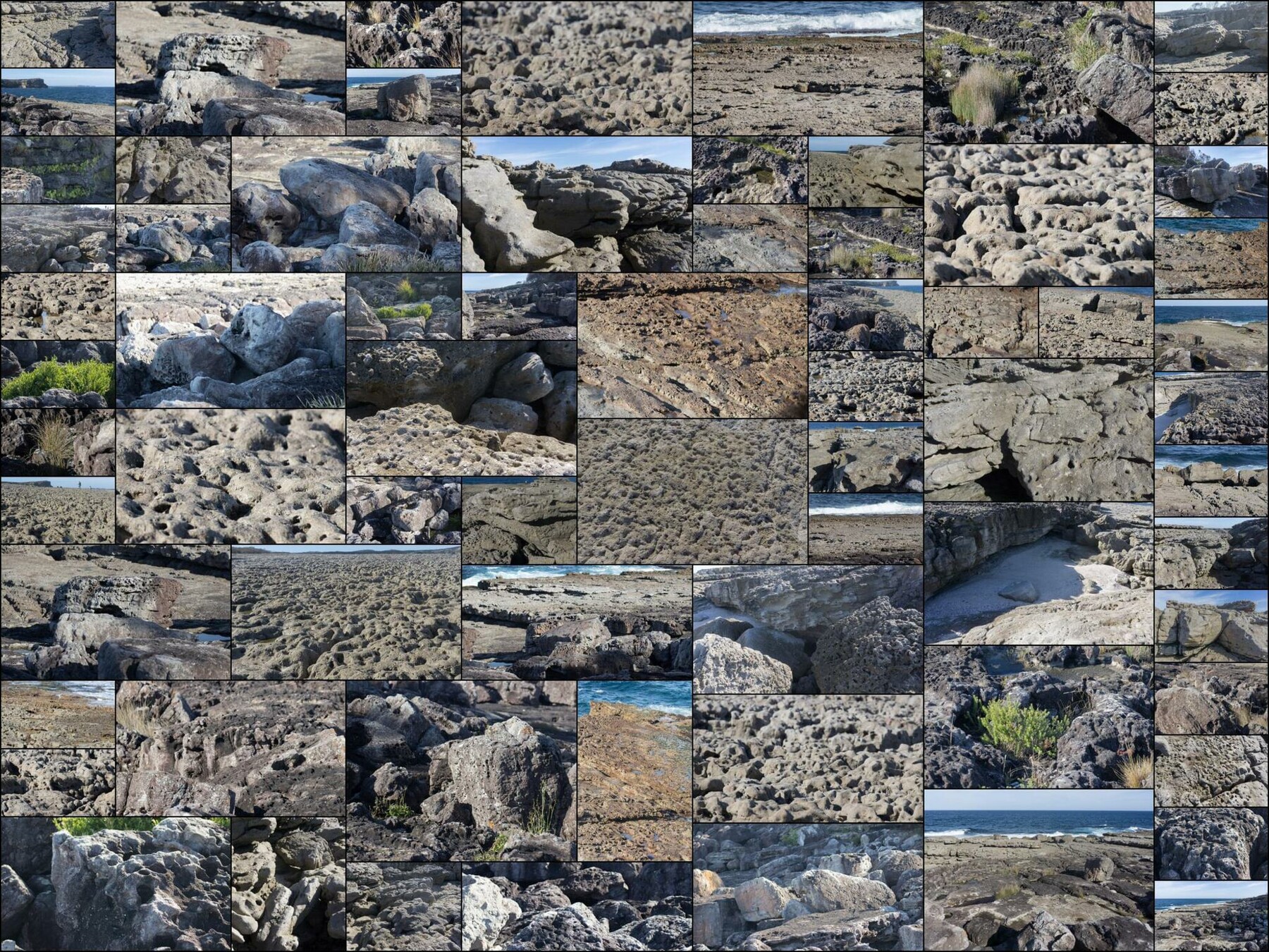 ArtStation - 70 photos of Sponge Marine Rocks and Boulders | Resources