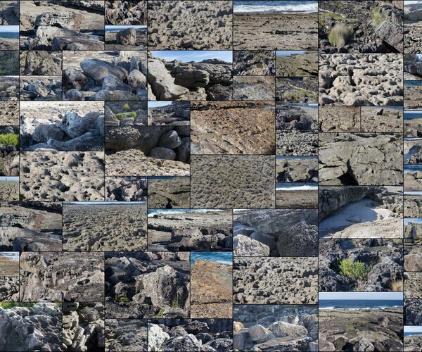 ArtStation - 70 photos of Sponge Marine Rocks and Boulders | Resources