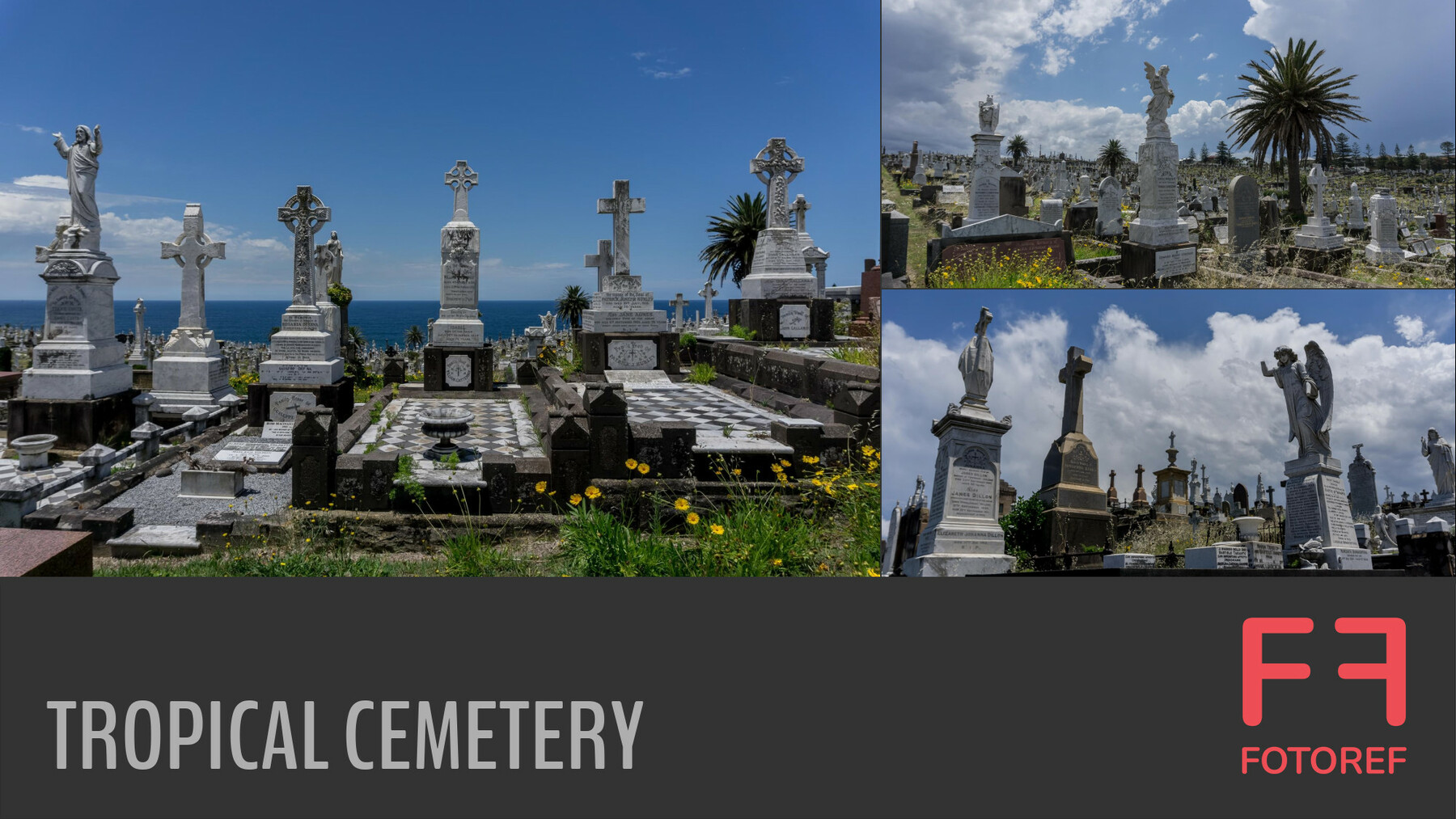 ArtStation - 109 photos of Tropical Cemetery | Resources