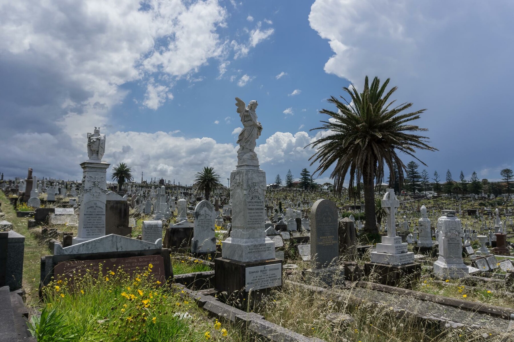 ArtStation - 109 photos of Tropical Cemetery | Resources