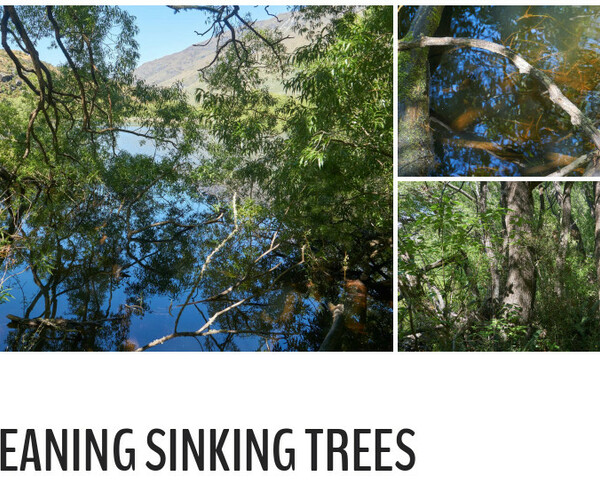 ArtStation - 105 photos of Lake Leaning Sinking Trees | Resources
