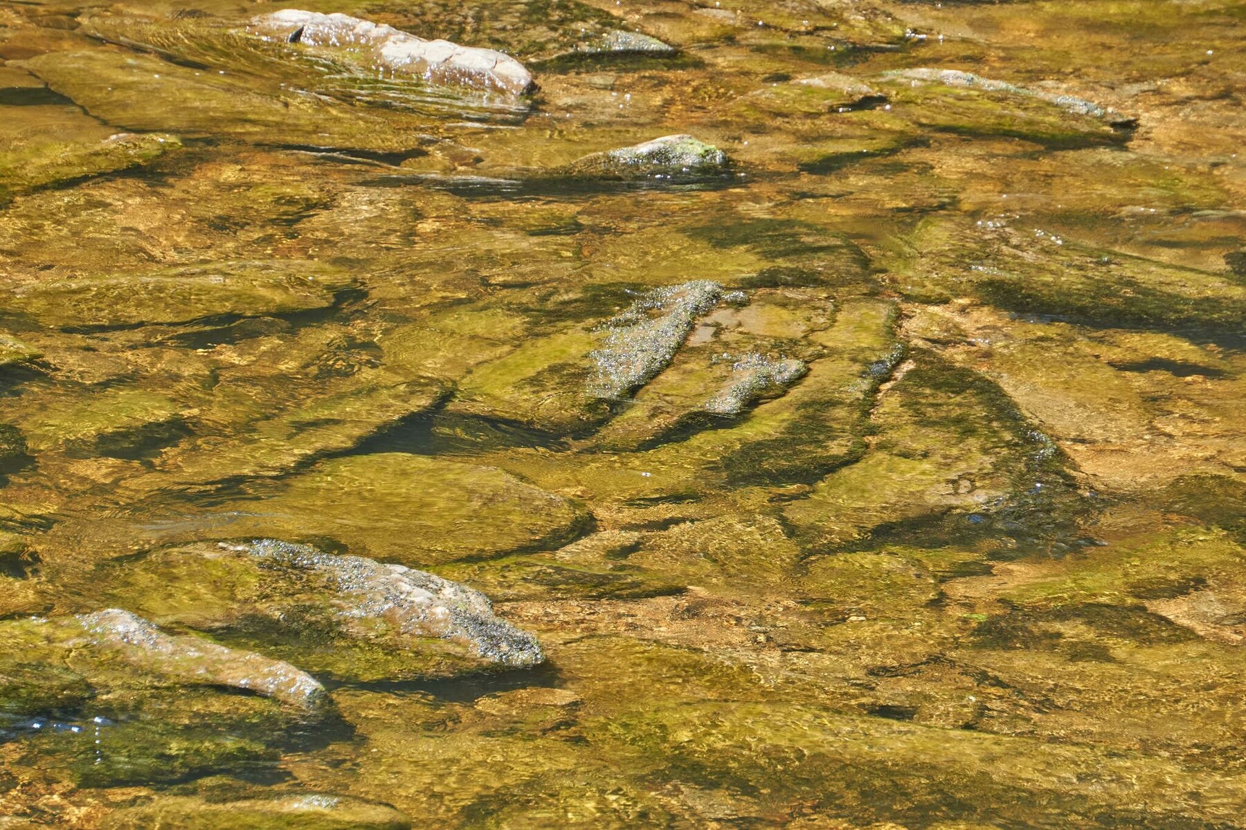 ArtStation - 184 photos of Shallow Waterfall | Resources