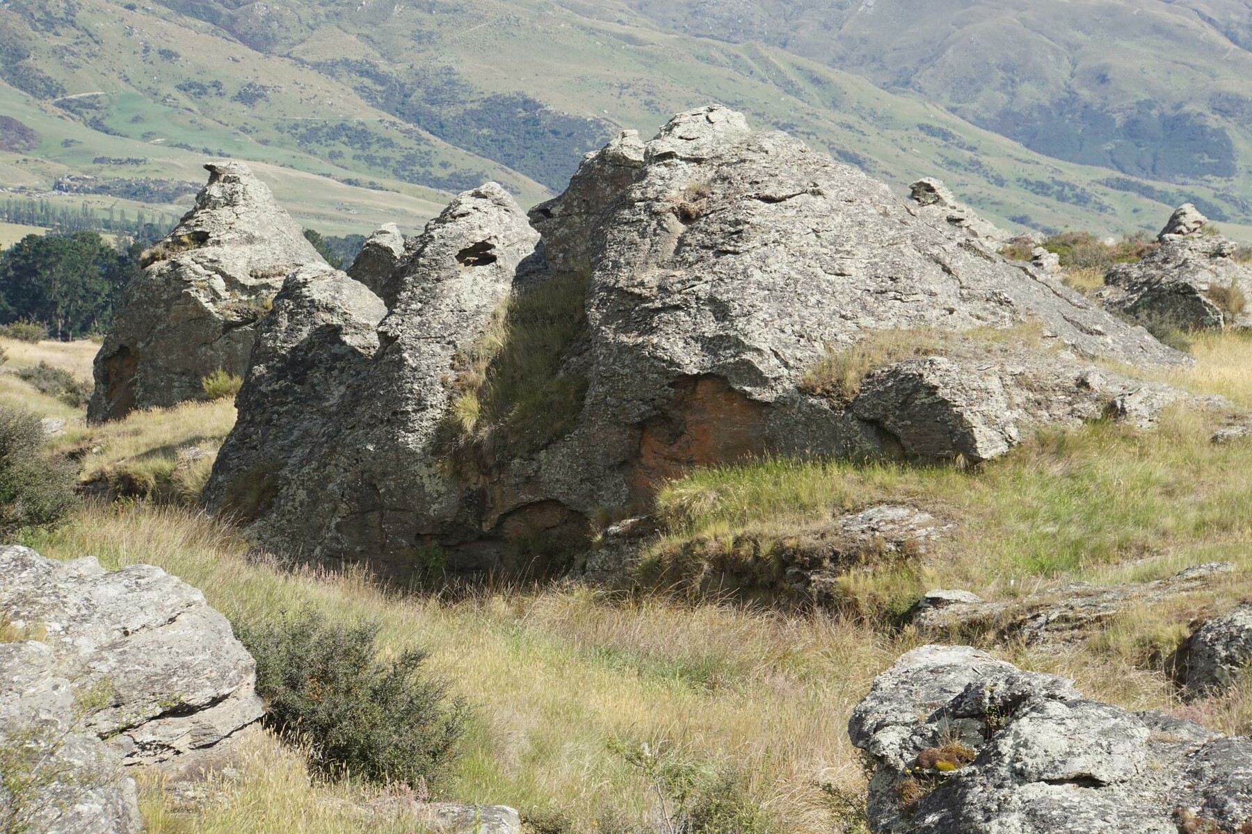 ArtStation - 193 photos of Dry Field Rocks | Resources