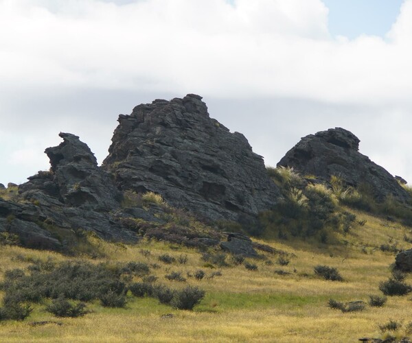 ArtStation - 193 photos of Dry Field Rocks | Resources