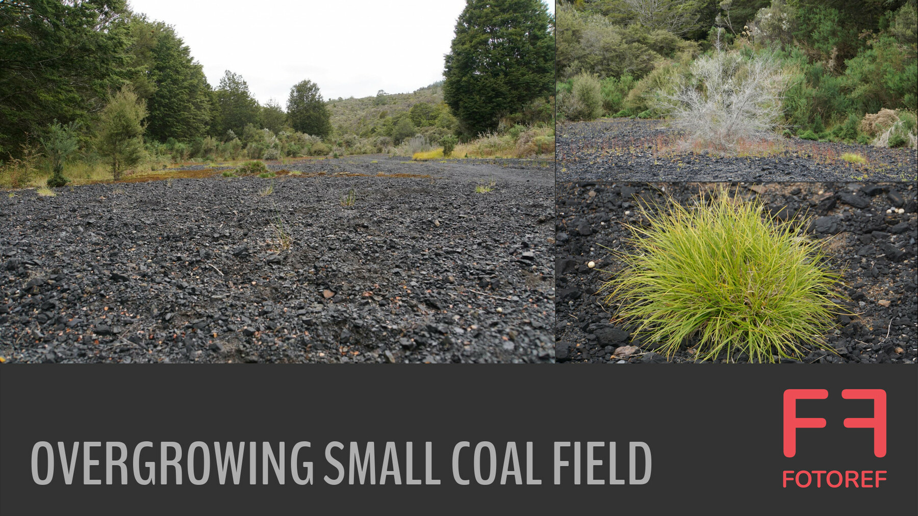 ArtStation - 125 photos of Overgrowing Small Coal Field | Resources
