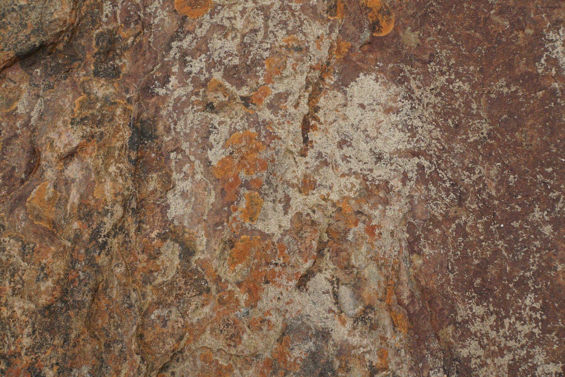 ArtStation - 190 photos of Rusty Rocks Shallow River | Resources