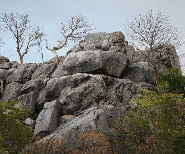 ArtStation - 87 photos of Top Bleached Boulders | Resources