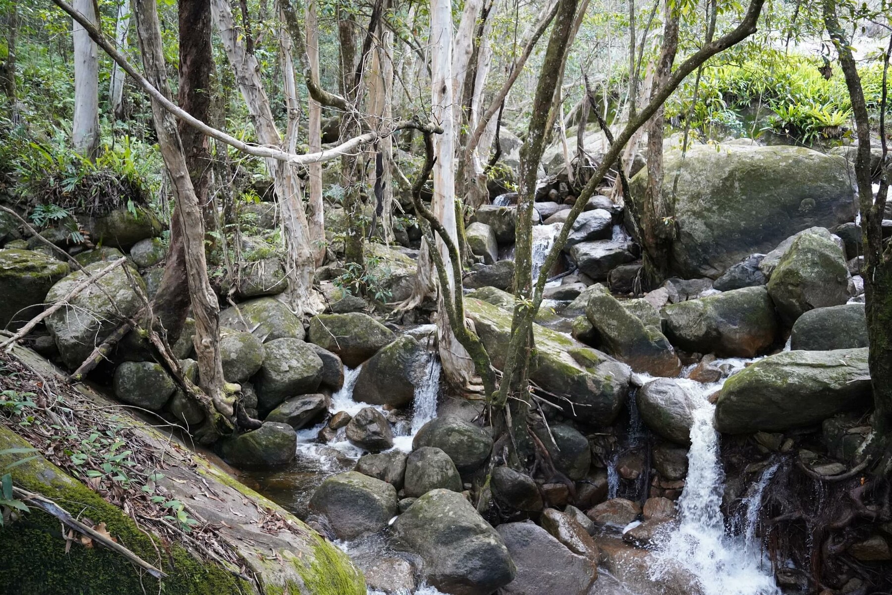 ArtStation - 65 photos of Splitted Rocky Small Waterfall | Resources