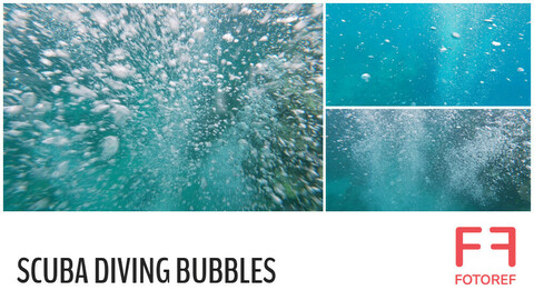 ArtStation - 135 photos of Scuba Diving Bubbles | Resources
