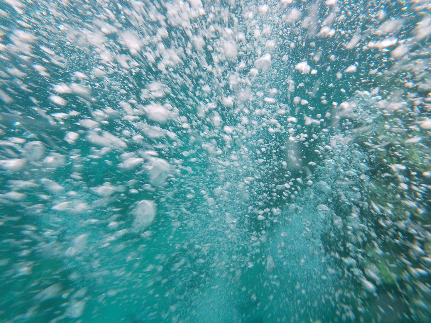 ArtStation - 135 photos of Scuba Diving Bubbles | Resources