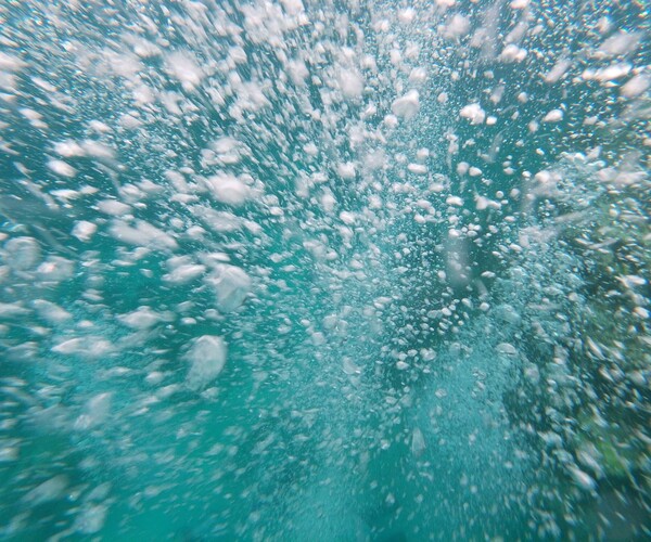 ArtStation - 135 photos of Scuba Diving Bubbles | Resources