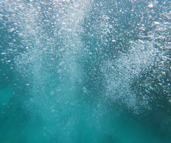 ArtStation - 135 photos of Scuba Diving Bubbles | Resources