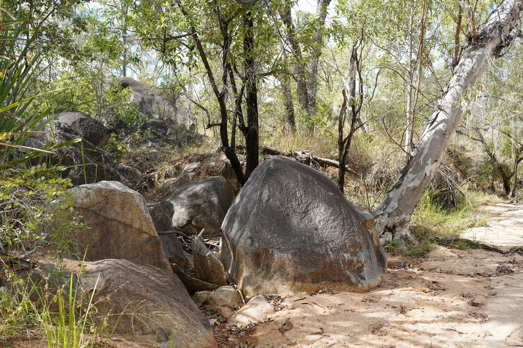 ArtStation - 106 photos of Sandy Dried Out Stream | Resources