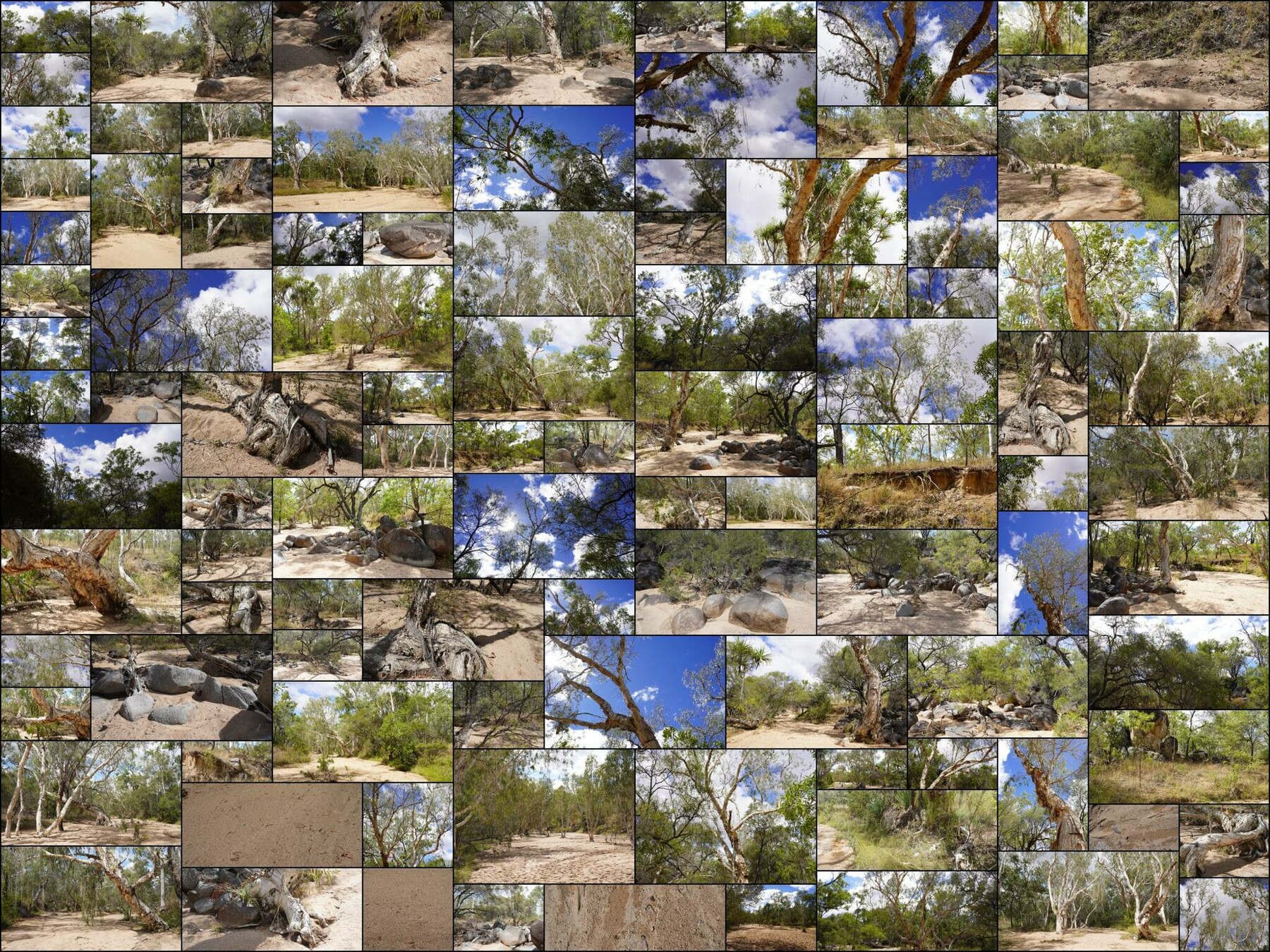 ArtStation - 106 photos of Sandy Dried Out Stream | Resources
