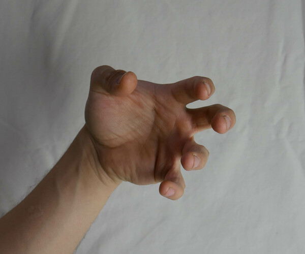 ArtStation - 100+ Hand References | Resources